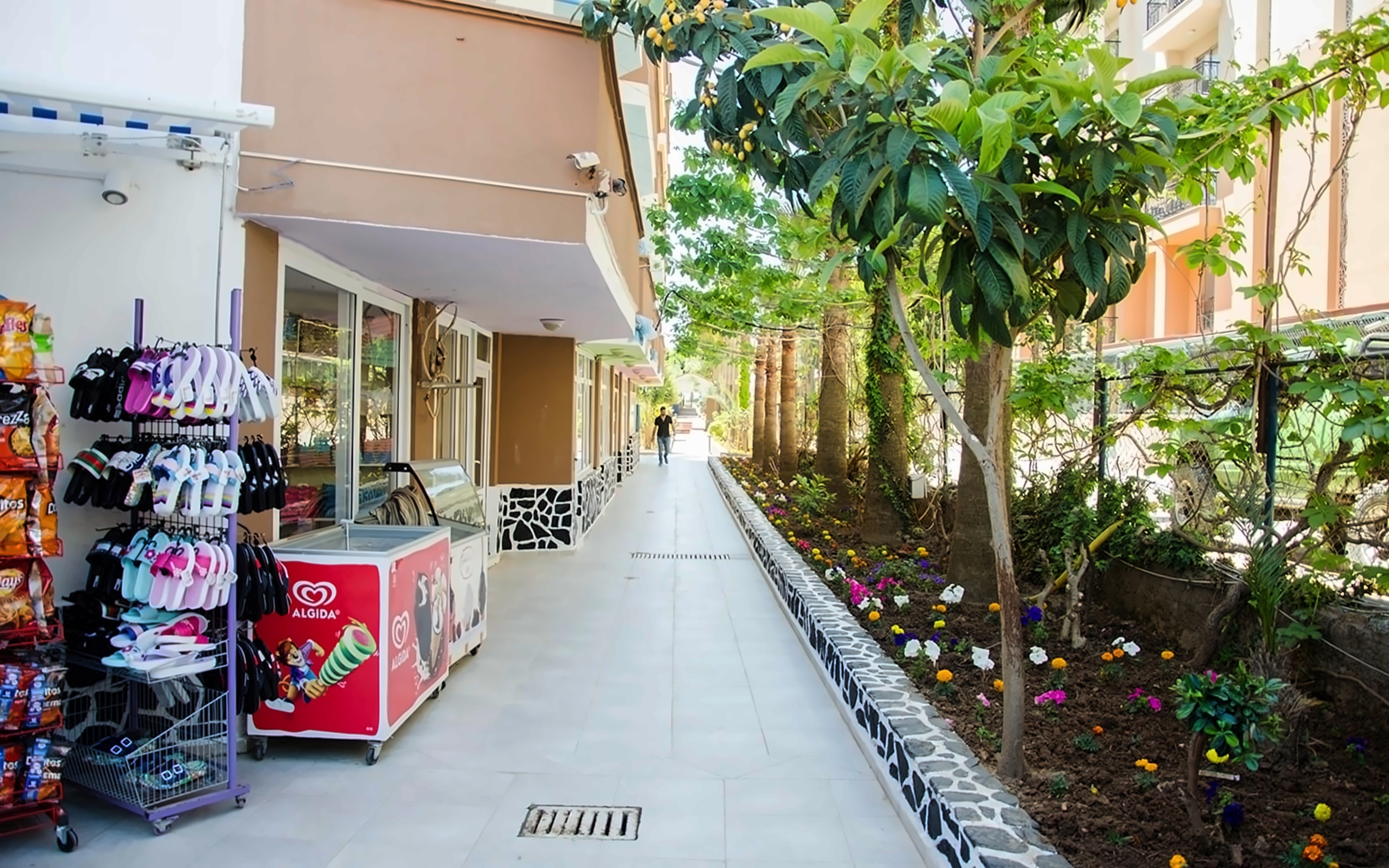 Sunside Beach Hotel Alanya Turkey photo, price for the vacation from ...