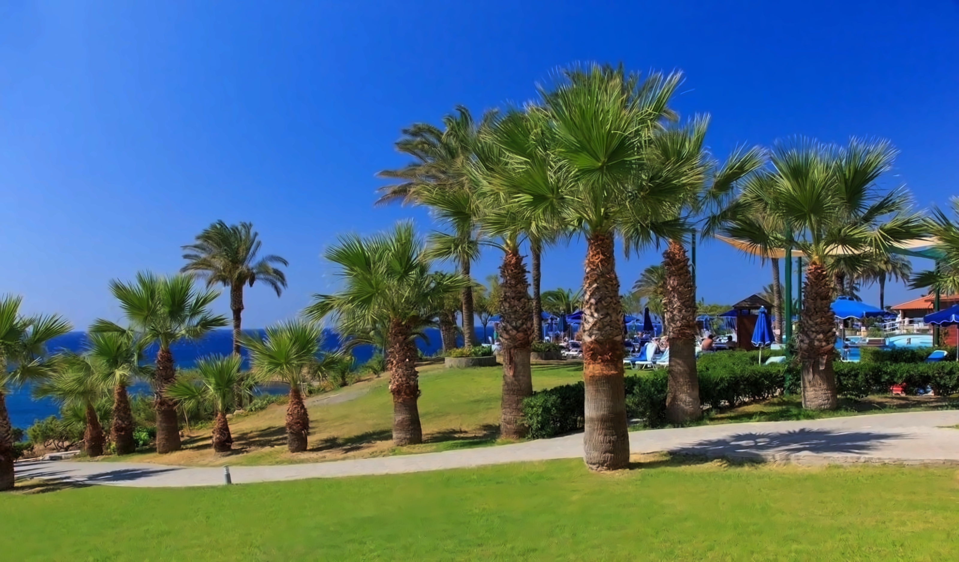 Rodos Princess Beach Hotel & Spa Kiotari Greece photo, price for the ...