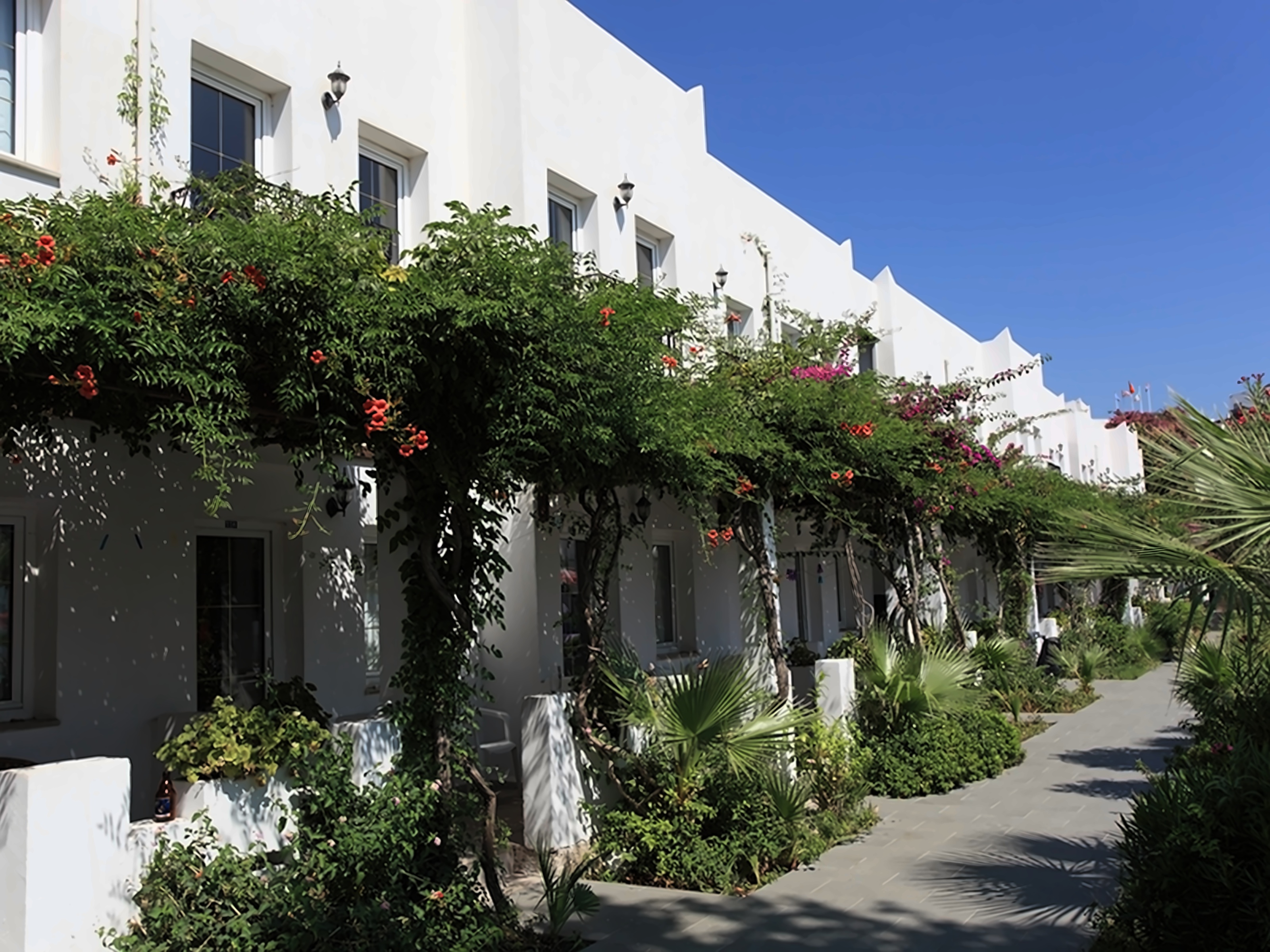 Baba Hotel Bodrum Türgi foto, puhkuse hind Join UP!-ilt