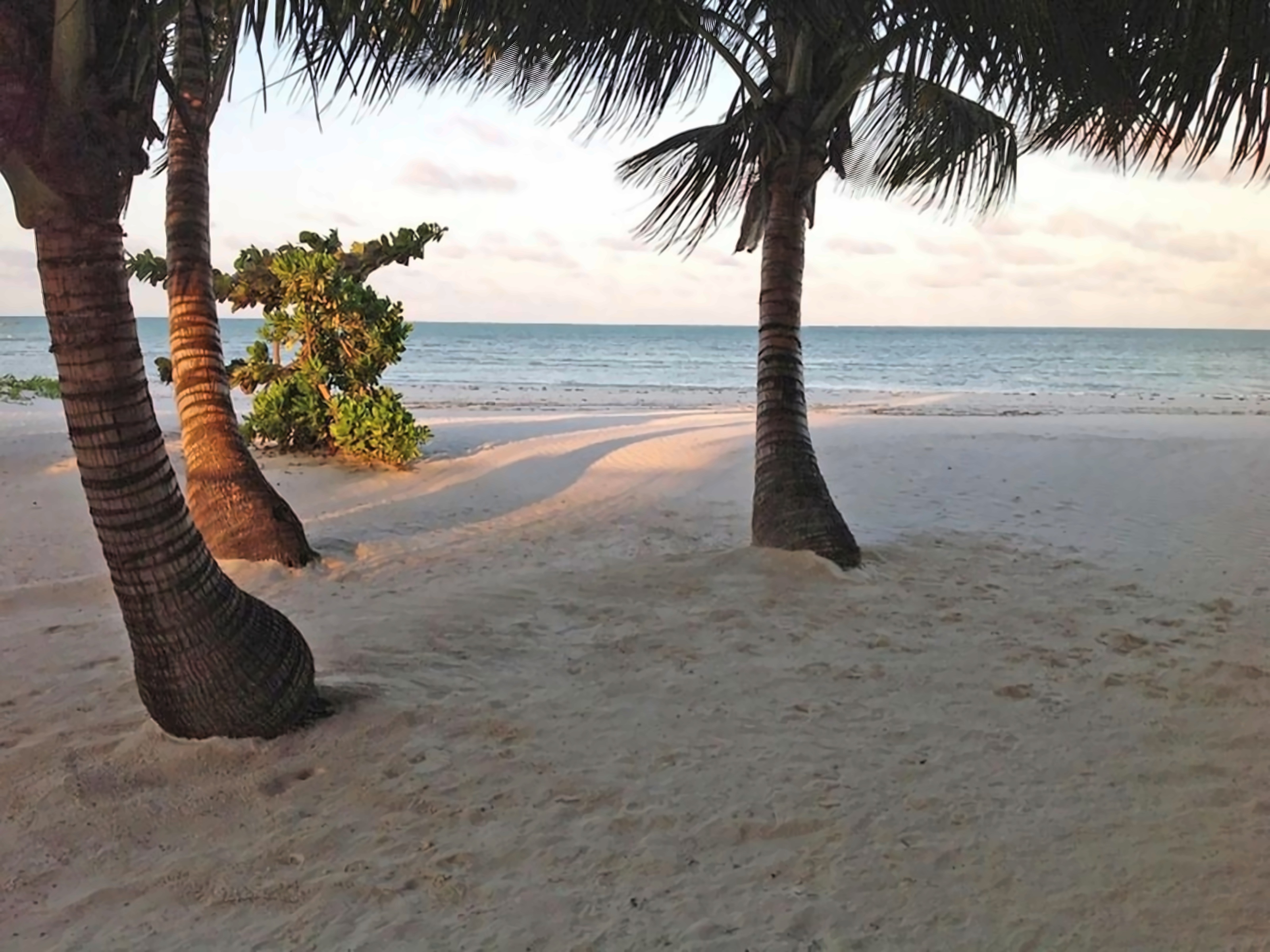 Pongwe Bay Resort Pongwe Tanzania photo, price for the vacation from ...