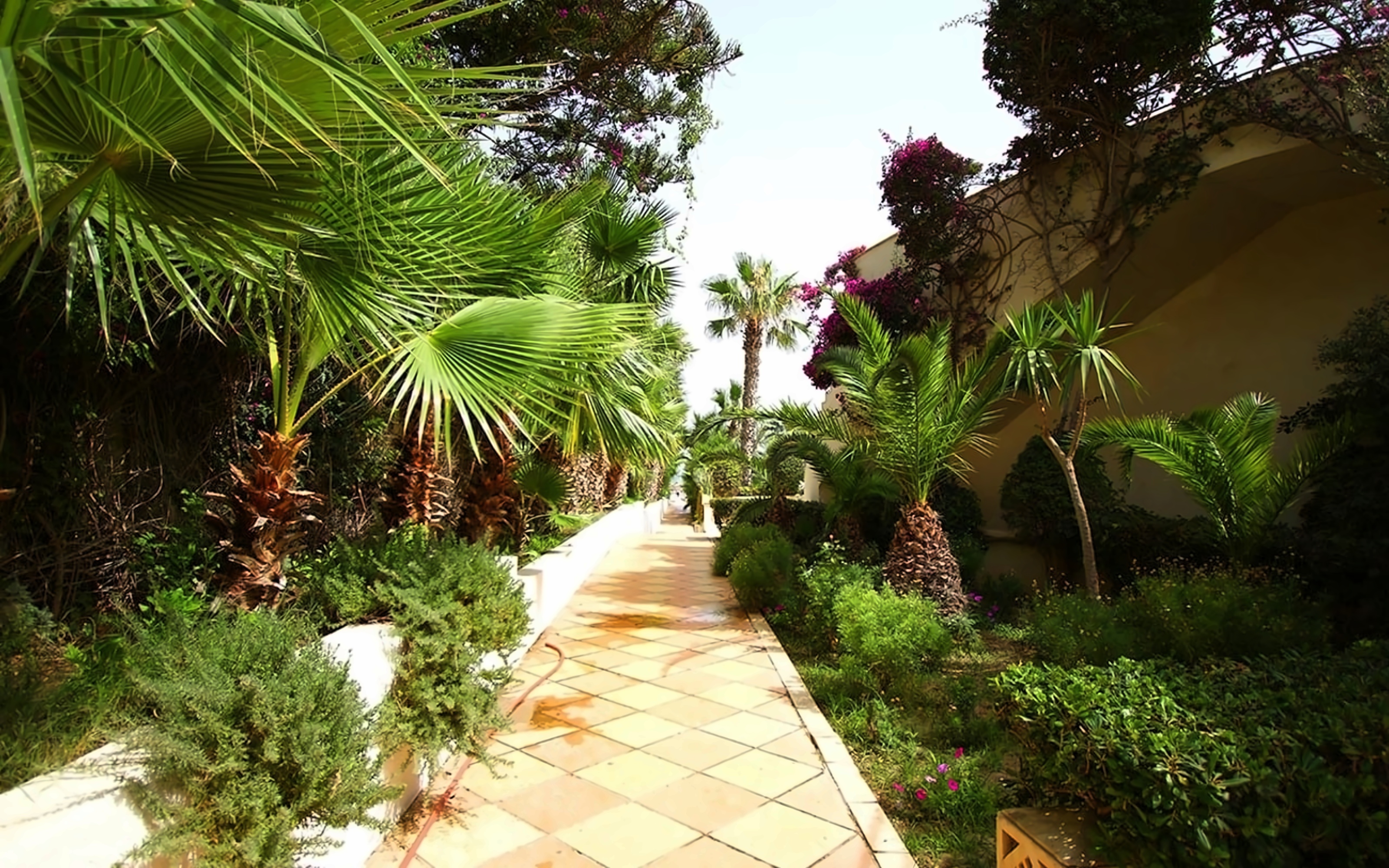 Club Novostar Nahrawess Thalasso & waterpark Hammamet Tunisia photo ...