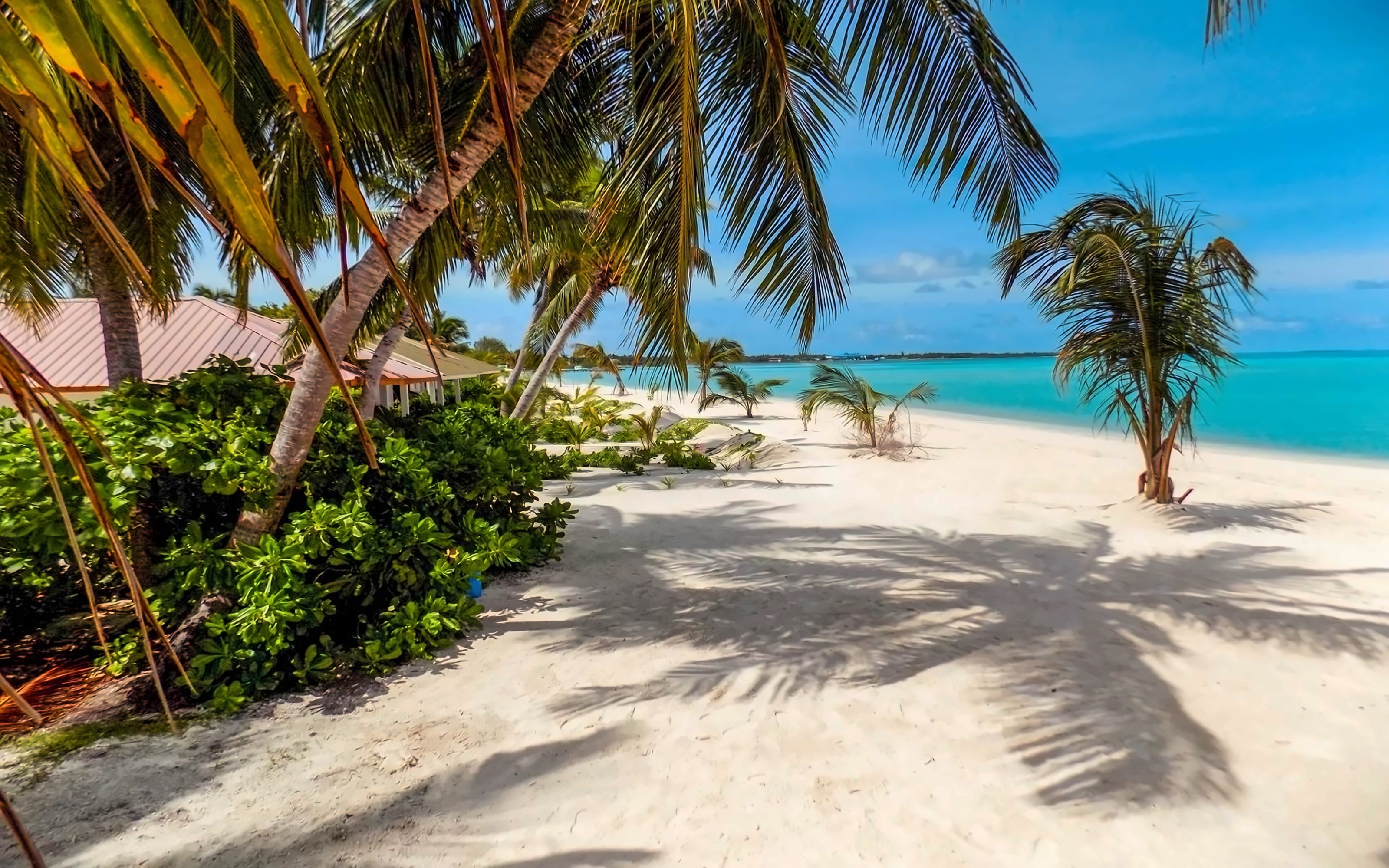 South Palm Resort Maldives Addu atoll Maldiivid foto, puhkuse hind Join ...