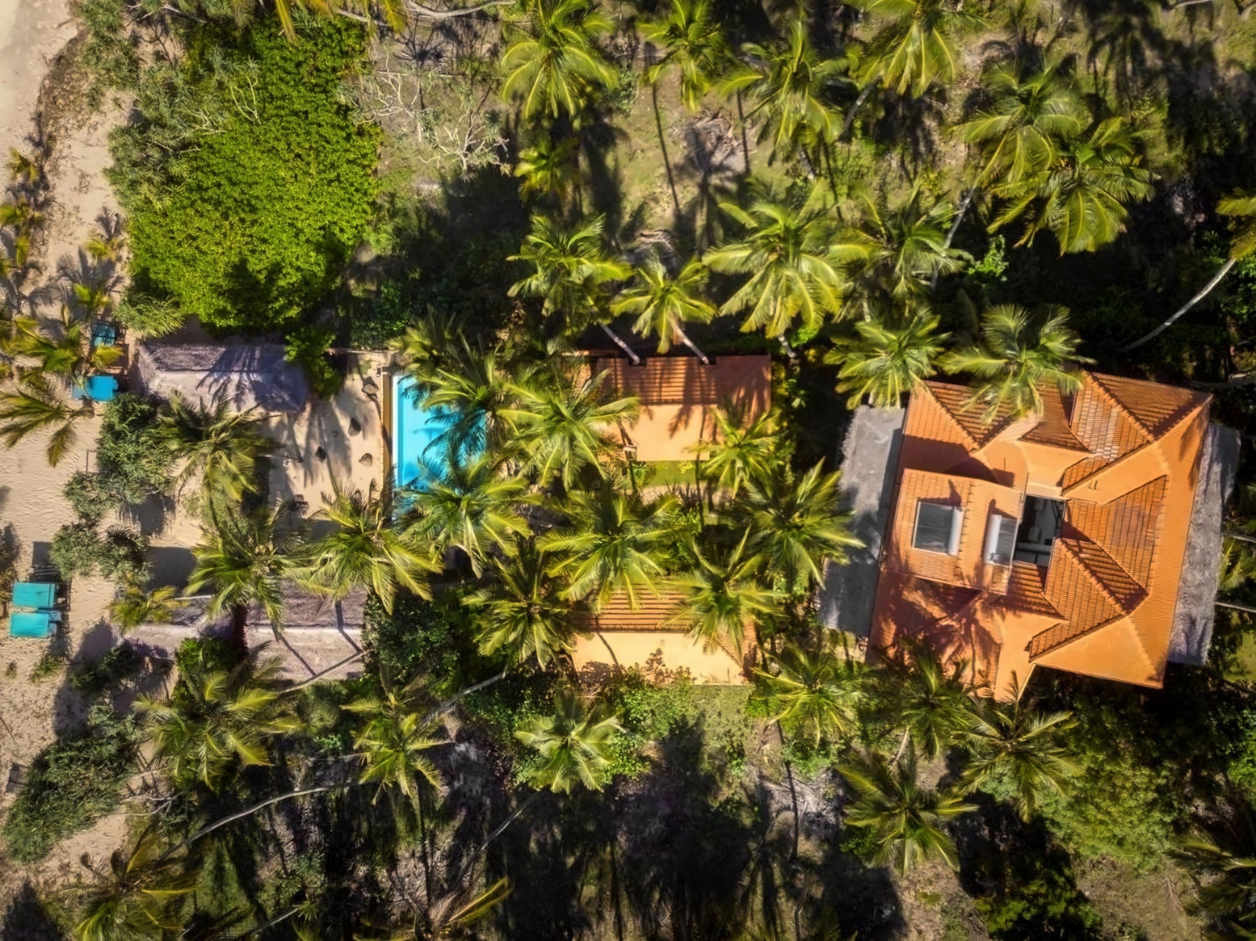 Seven Turtles Tangalle Sri Lanka photo, price for the vacation from ...