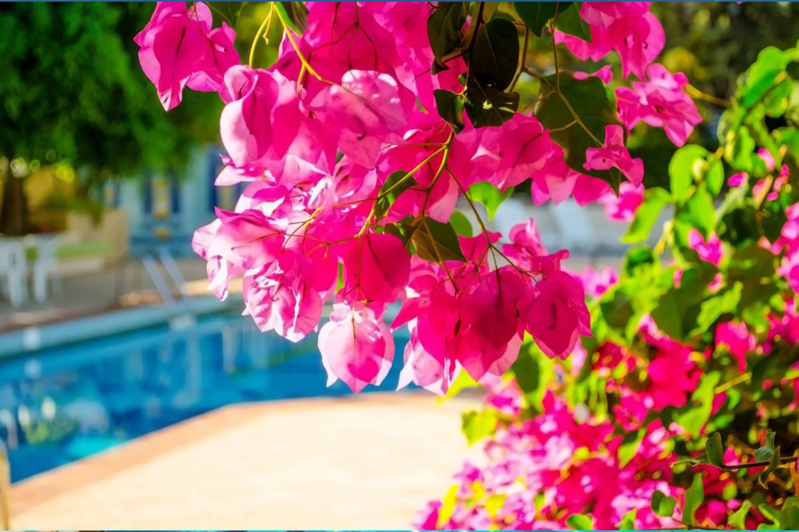 Sun Bay & Eri Village Hotel Heraklion - Hersonissos Greece photo, price ...