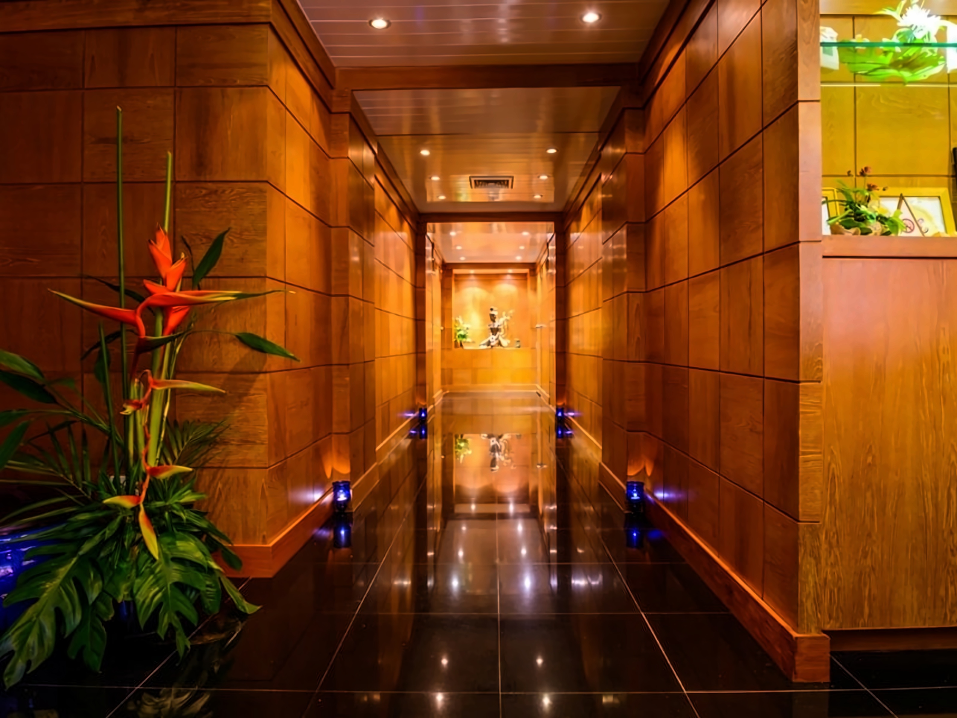 Seaview Patong Hotel Phuket Patong Таиланд photo, price for the ...